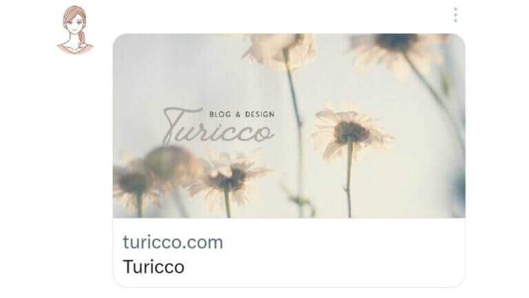 【Cocoon】SNSでURLをシェアしたときの画像、ちゃんと設定できてる？OGP設定方法 | Turicco